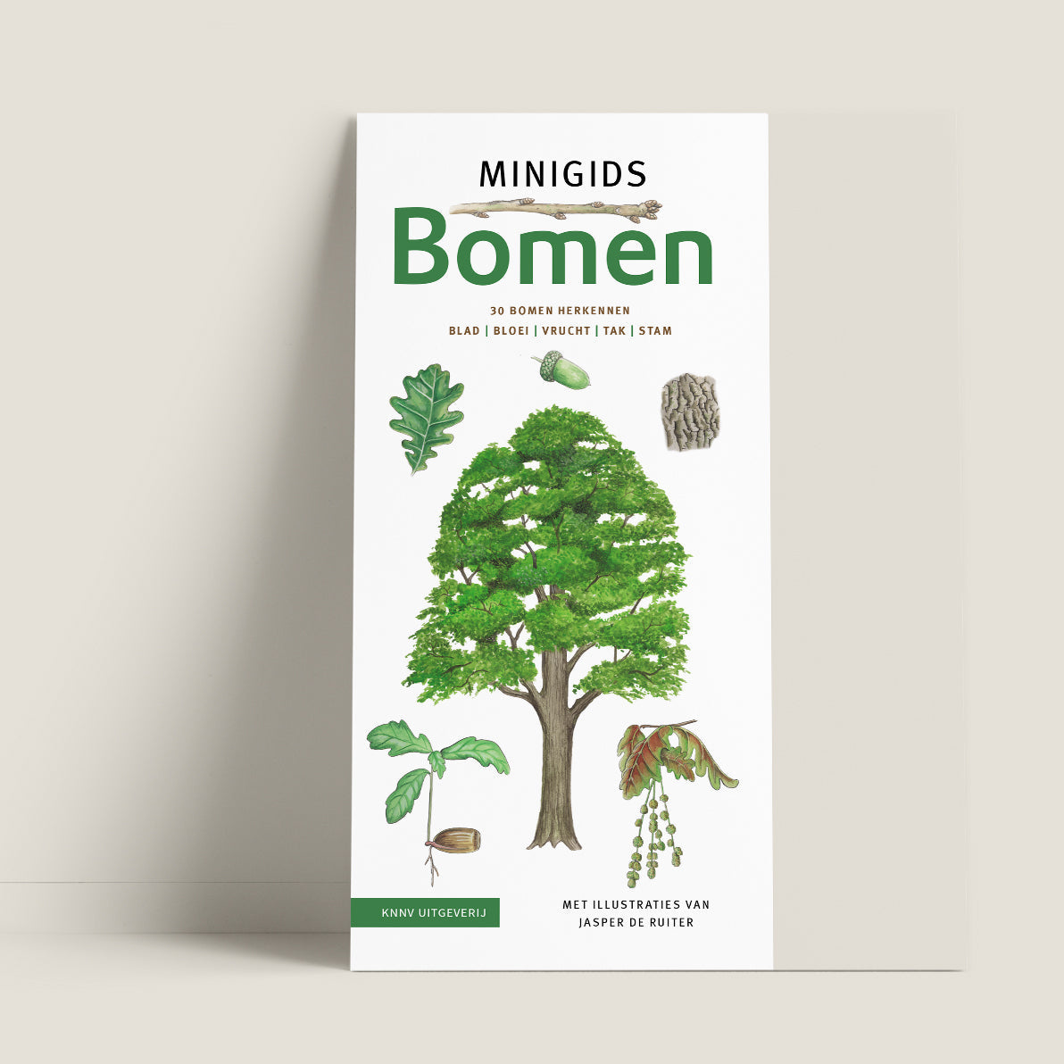 Minigids Bomen – Juffrouw Knots